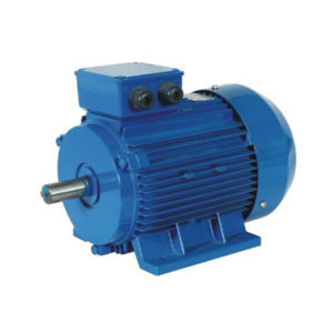 Three Phase Synchronous Motor - Microteknik